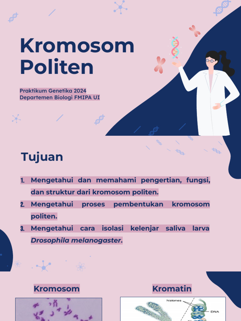 Kromosom Politen: Struktur dan Fungsi | PDF
