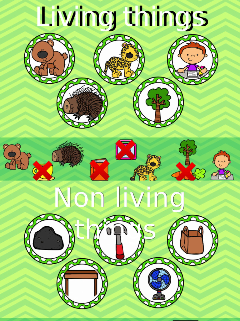Living or Non Living-Miss Fers Classroom | PDF