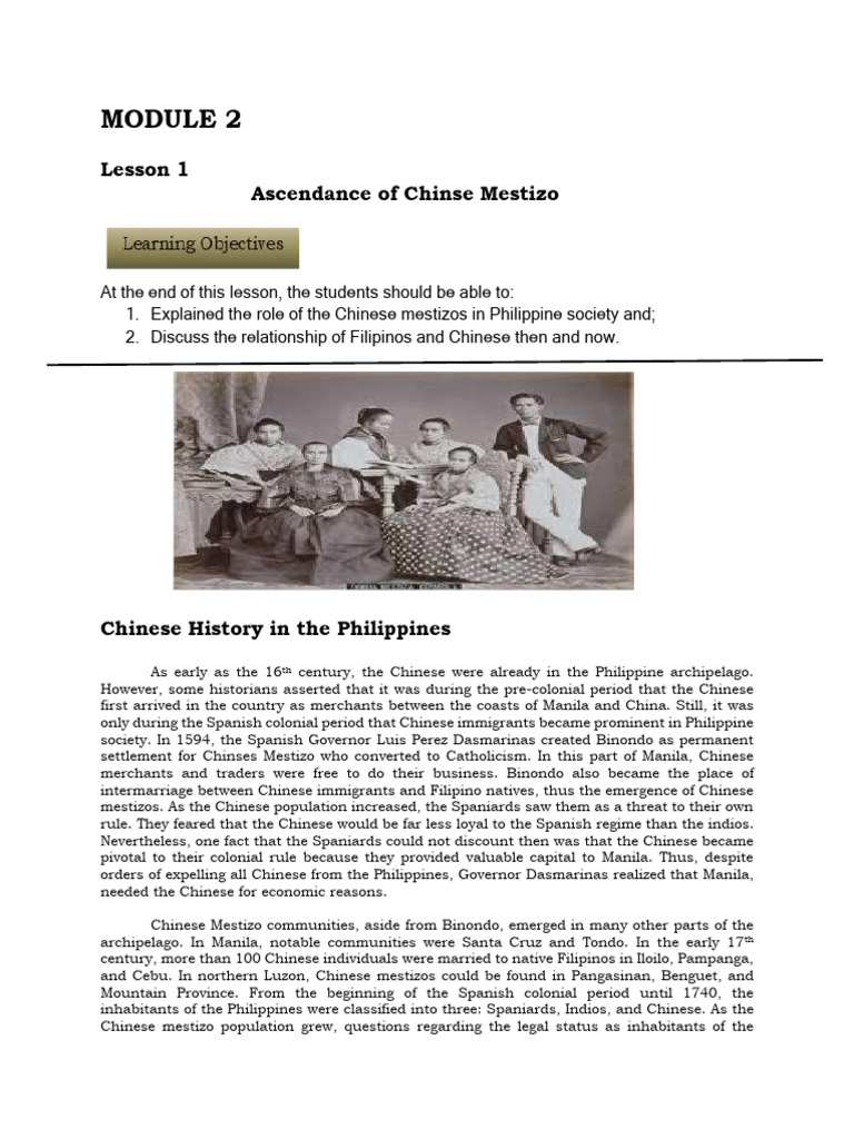 History of Chinese Mestizo | PDF | Philippines | Southeast Asia