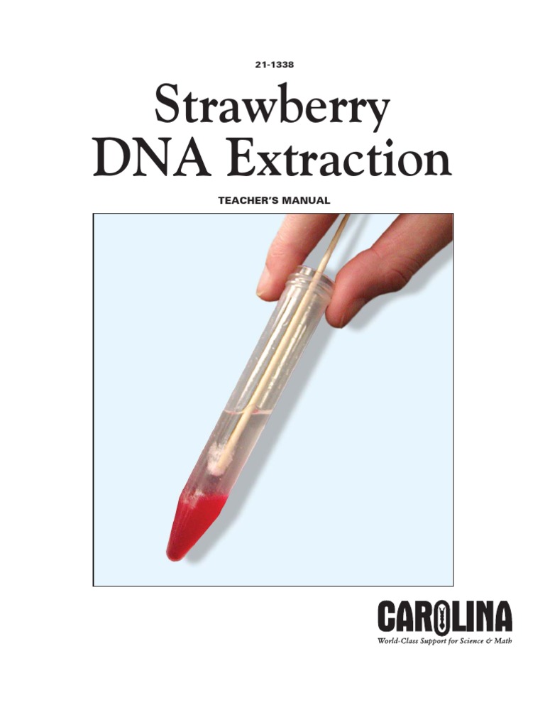 Strawberry Dna Extract Kit | PDF | Cell (Biology) | Cell Membrane