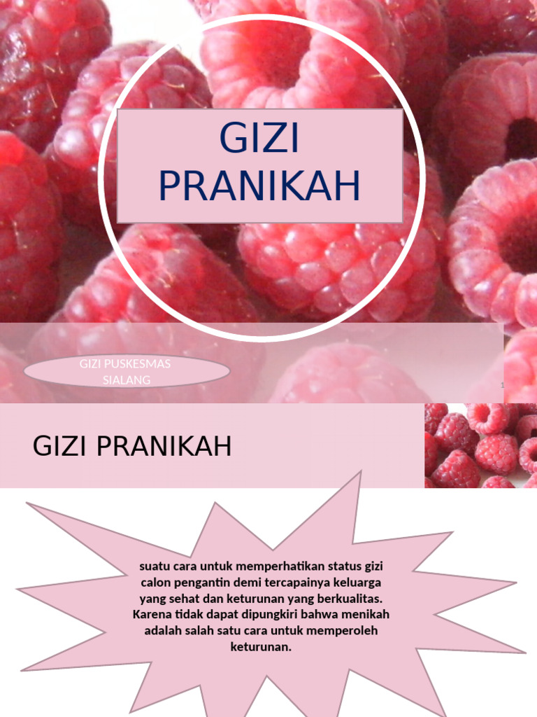 Gizi Pranikah untuk Keluarga Sehat | PDF