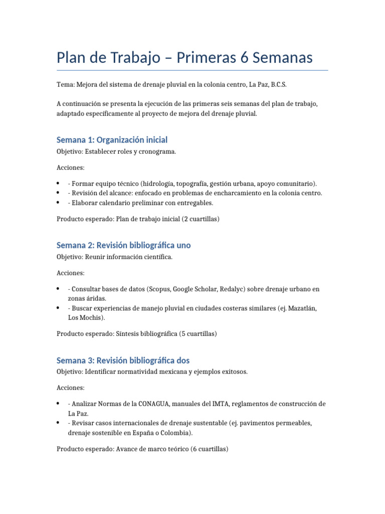 Plan de Trabajo Primeras 6 Semanas | PDF
