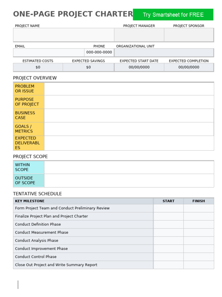 IC One Page Project Charter 8556 WORD | PDF
