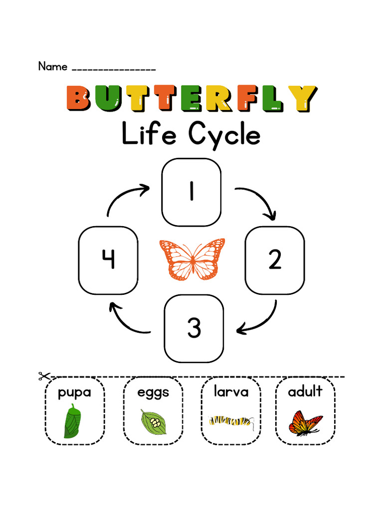 Colourful Illustrated Life Cycle of A Butterfly Activity Worksheet | PDF