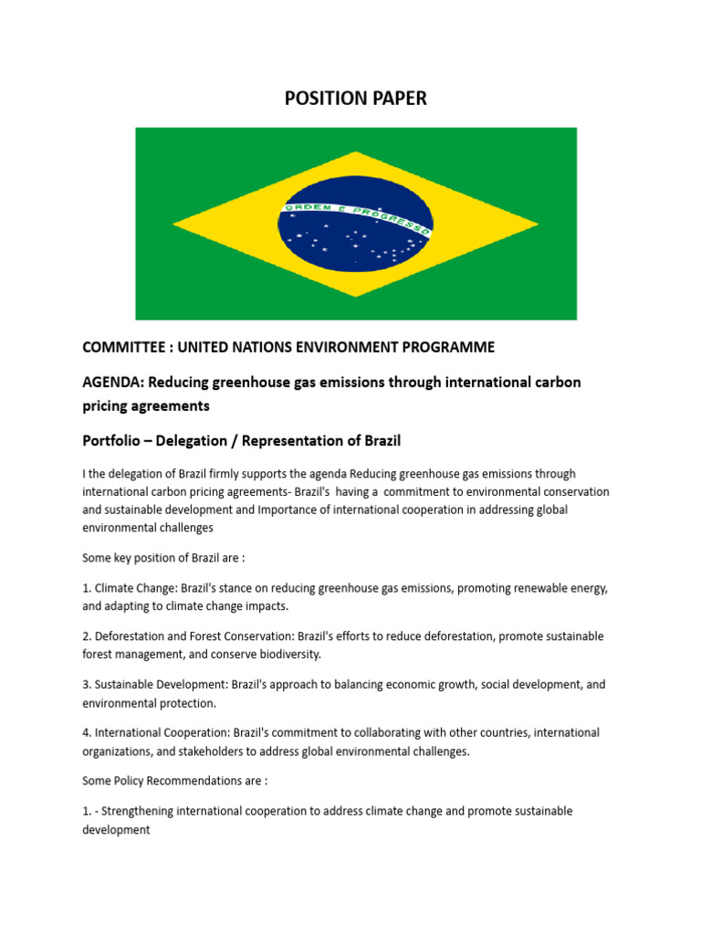 Position Paper | PDF