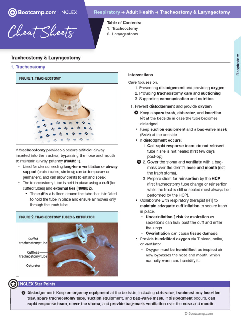 Tracheostomy and Laryngectomy Care Guide | PDF | Respiratory Tract | Larynx