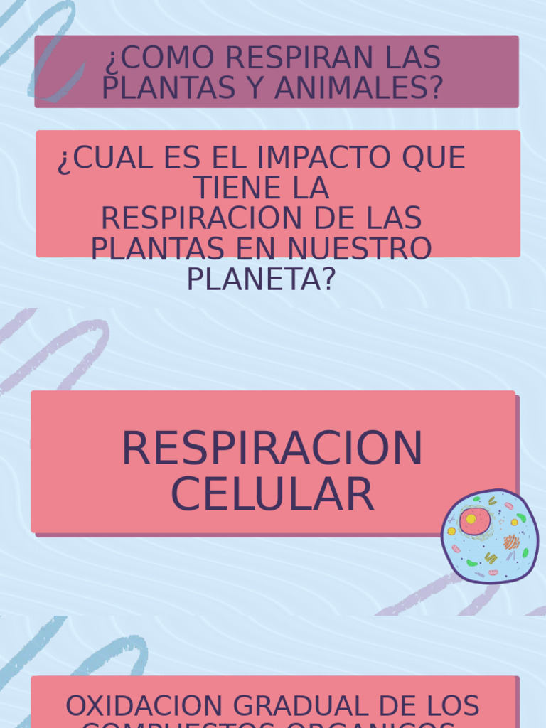 Cell Organelles & Structures Lesson Presentation in Blue and Pink Hand ...