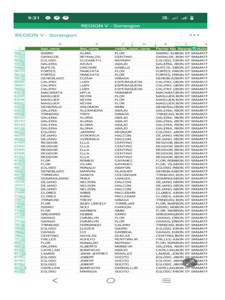 Rsbsa Masterlist | PDF