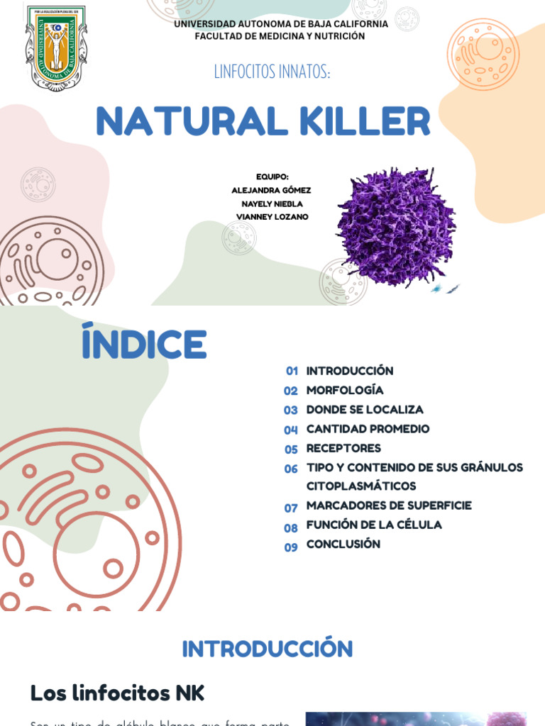 1.2 - Exposici-N - C-Lulas Del Sistema Inmune | PDF | Célula asesina ...