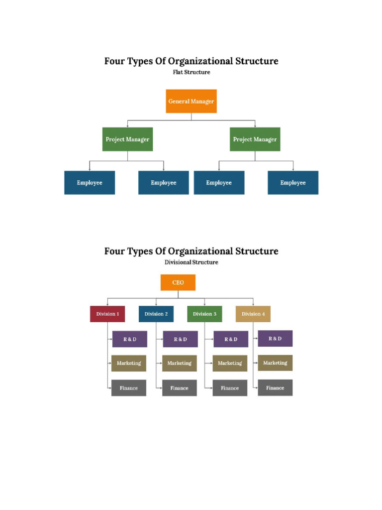 Types of Organizational Structures | PDF