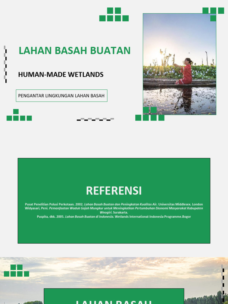 Lahan Basah Buatan dan Manfaatnya | PDF