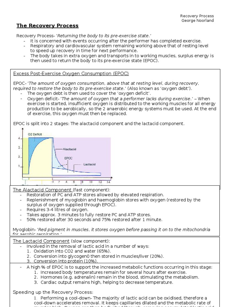 OCR PE Recovery Process | PDF | Cellular Respiration | Glycogen