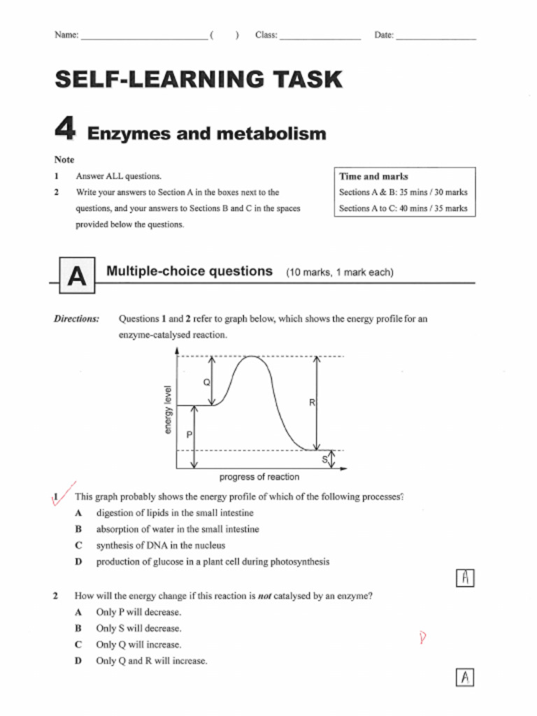 Self-Learning Task On Enzyme and Metabolism | PDF