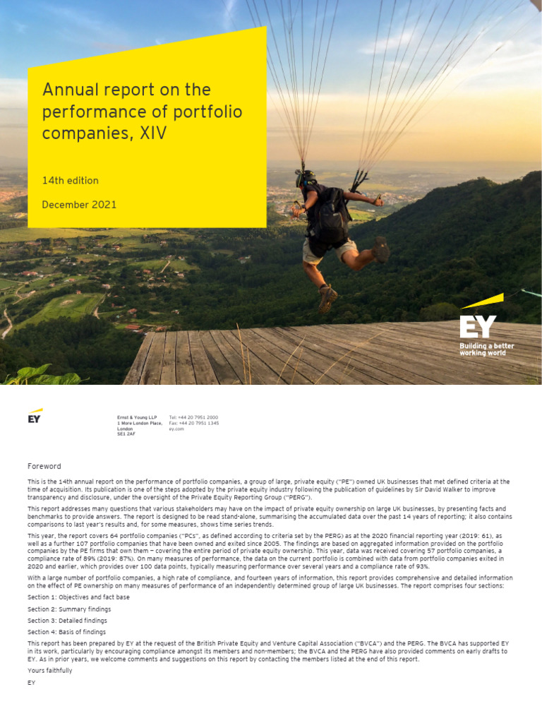EY Annual Report On The Performance of Portfolio Companies XIV | PDF ...