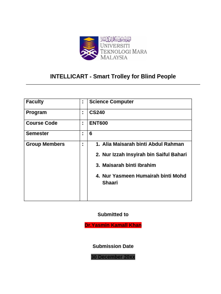 Ent600 3. Technology Blueprint Guidelines - Template | PDF | Income Statement | Expense