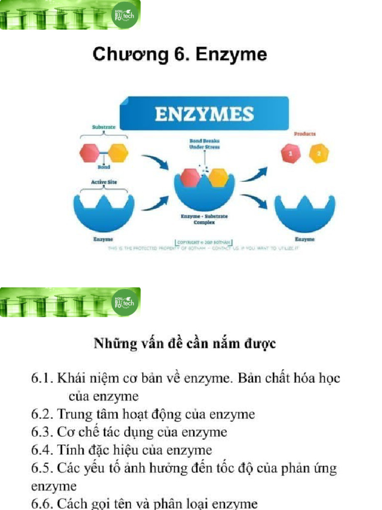 Enzyme 2 | PDF