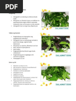 Dahon NG Sili | PDF