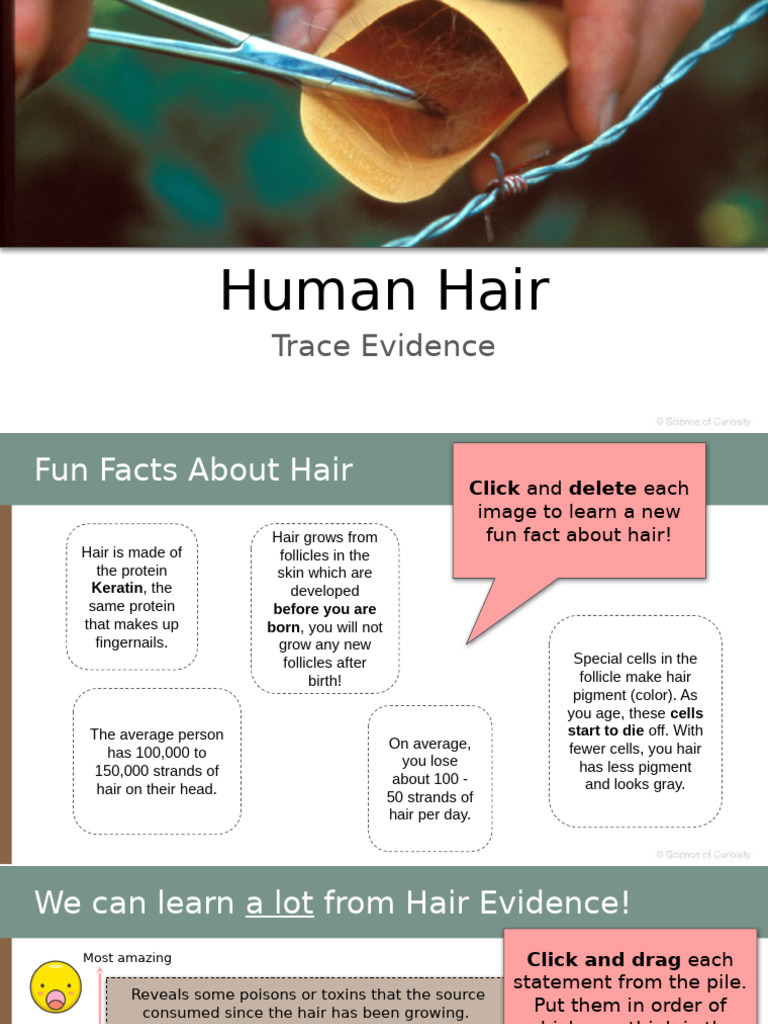 Hair Evidence in Forensic Analysis | PDF | Hair | Human Appearance