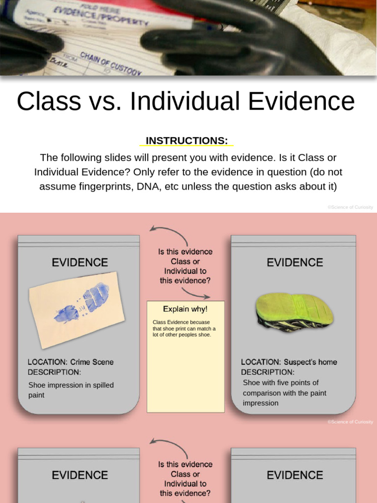 Fingerprint Evidence Analysis | PDF | Fingerprint