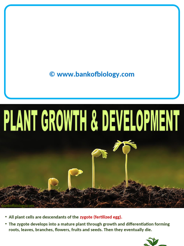 Understanding Plant Growth Dynamics | PDF | Organisms | Plants