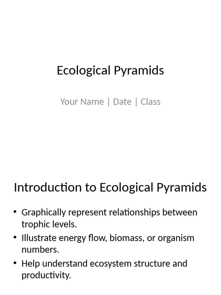 Understanding Ecological Pyramids | PDF