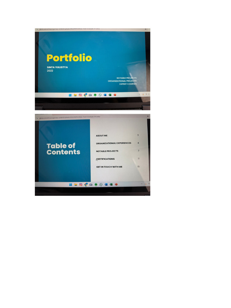 Make An Identification and Analysis About The Parts of Portfolio Sample ...