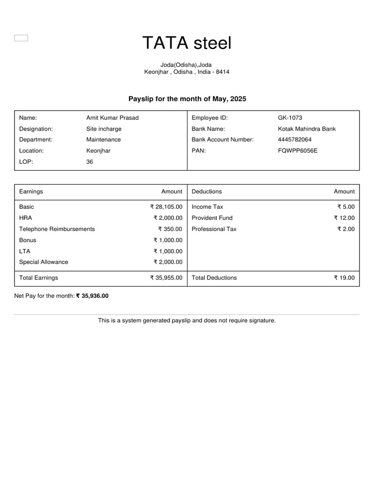 TATA Steel May 2025 Payslip Summary | PDF