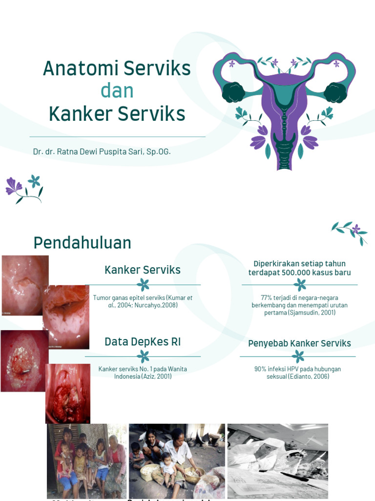 Anatomi Serviks | PDF