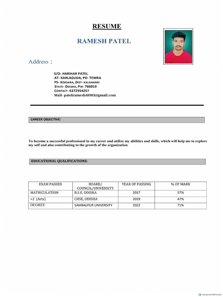 Ramesh Resume | PDF