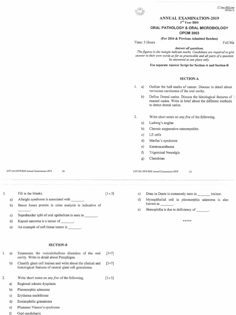 3rd Year Question Paper | PDF