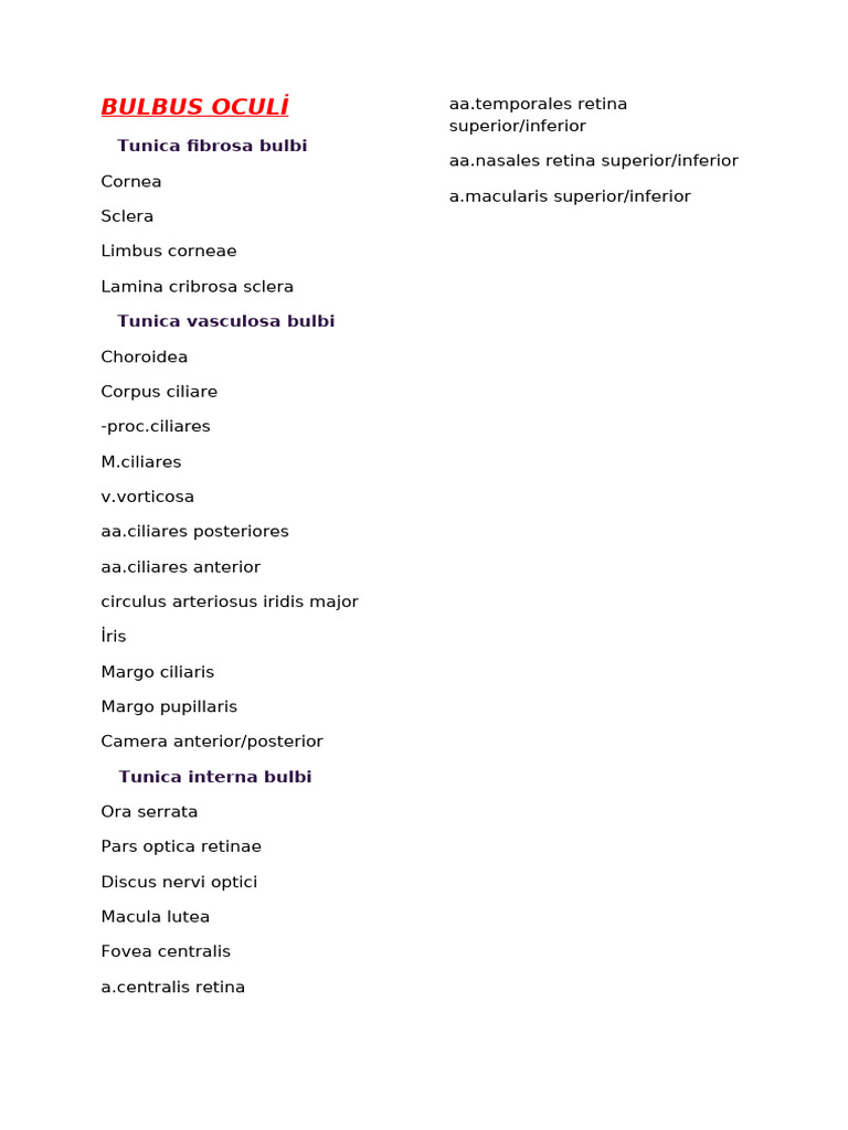 Bulbus Oculi | PDF