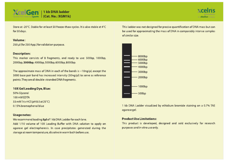 1 KB DNA Ladder | PDF