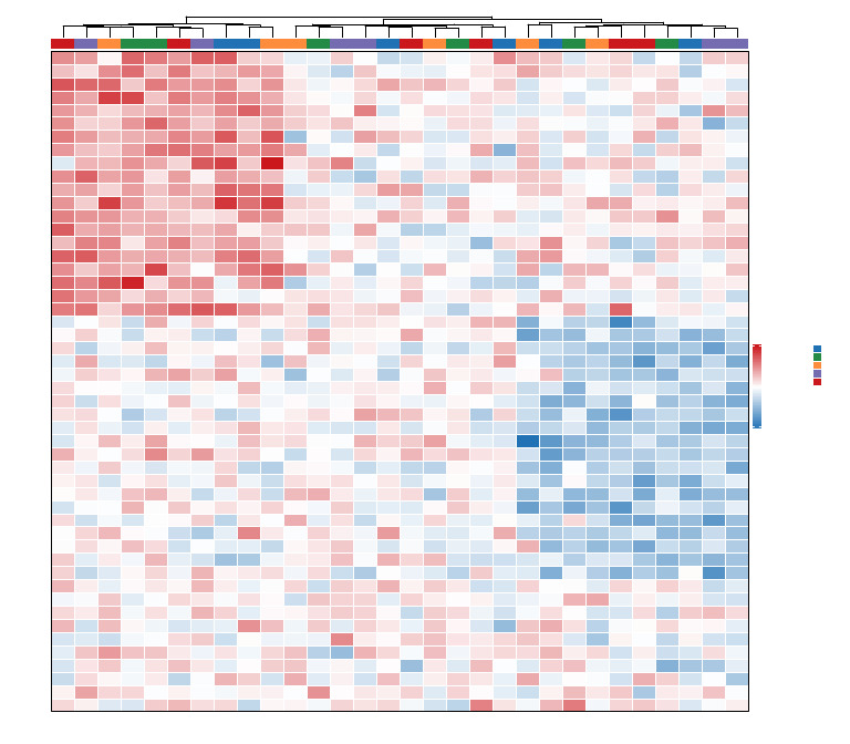 Simple Bacteria Compound Heatmap | PDF | Bacteria | Prokaryote
