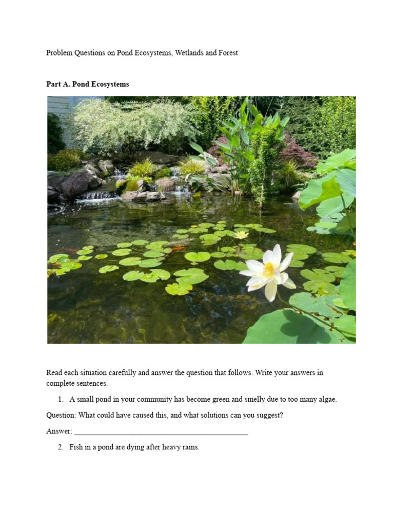 Ecosystem Problem Questions for Students | PDF | Wetland | Pond