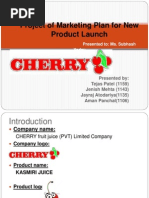 The G-STIC Framework | PDF | Marketing | Goal