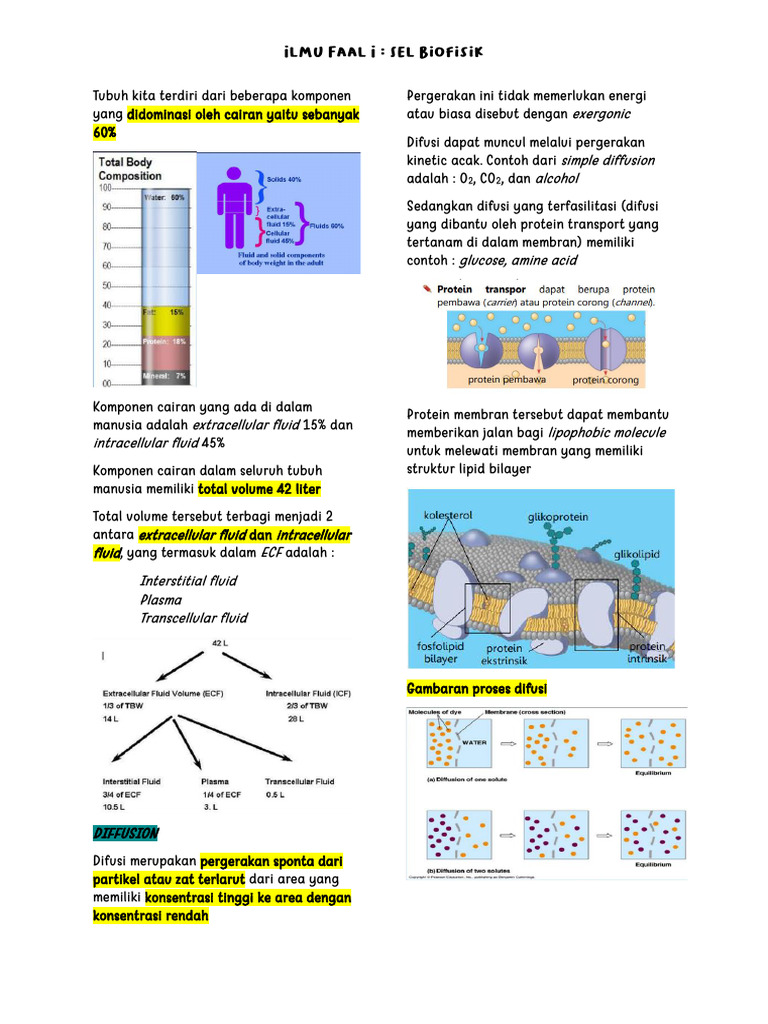 Catatan Faal I | PDF