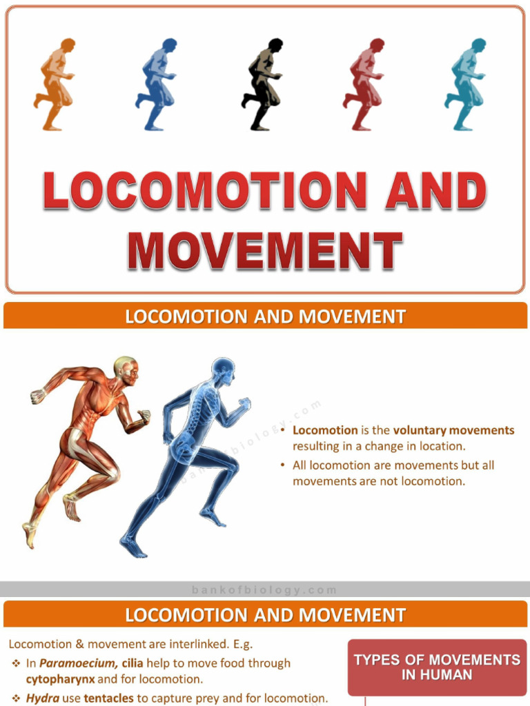 20 Locomotion Movement - Picture Slides - Demo | PDF