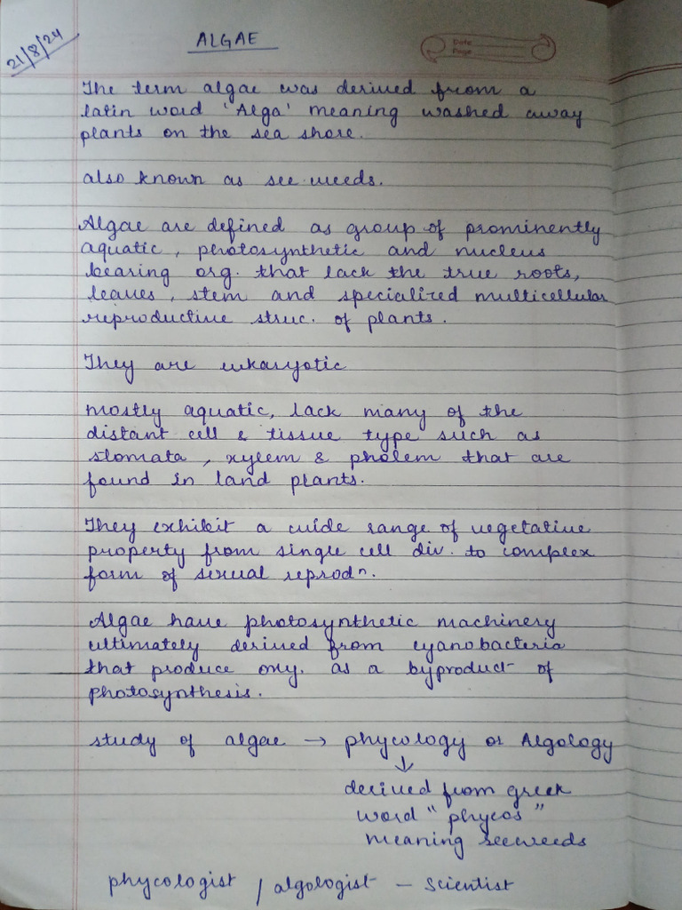 Algae Notes Pdf