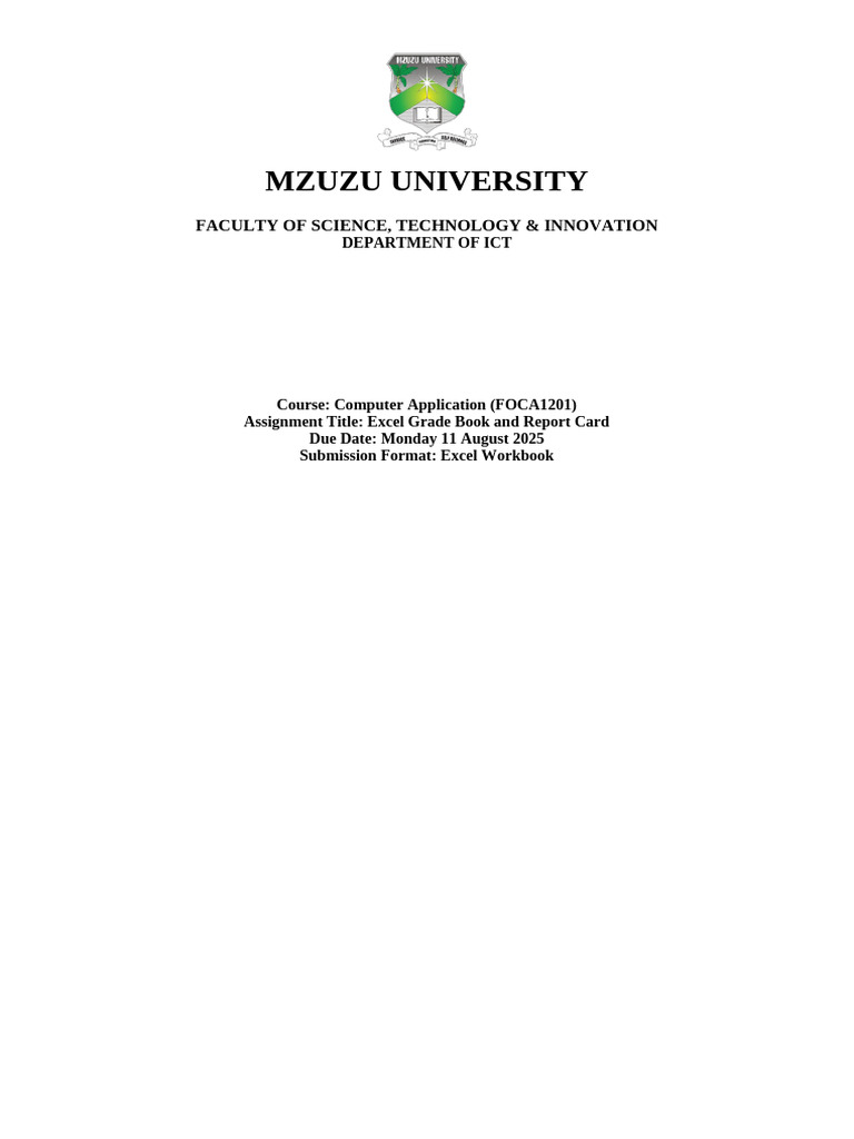 Computer Applications Assignment 2025 | PDF | Microsoft Excel | Software