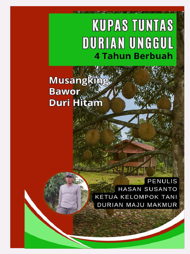 Panduan Budidaya Durian Bawor 4 Tahun | PDF