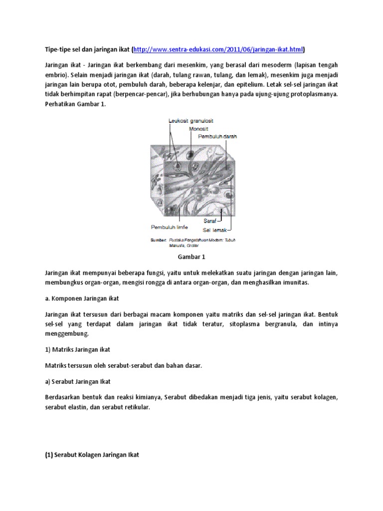 Tipe-Tipe Sel Dan Jaringan | PDF | Politik | Kesehatan Holistik