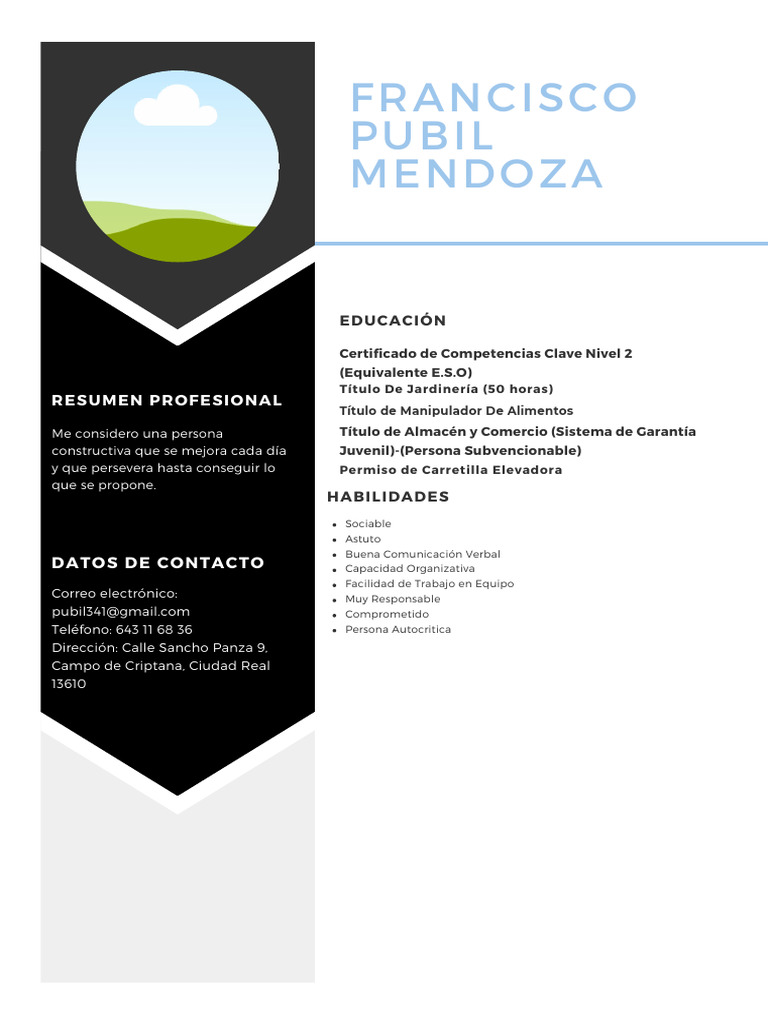 Curriculum Vitae Francisco | PDF
