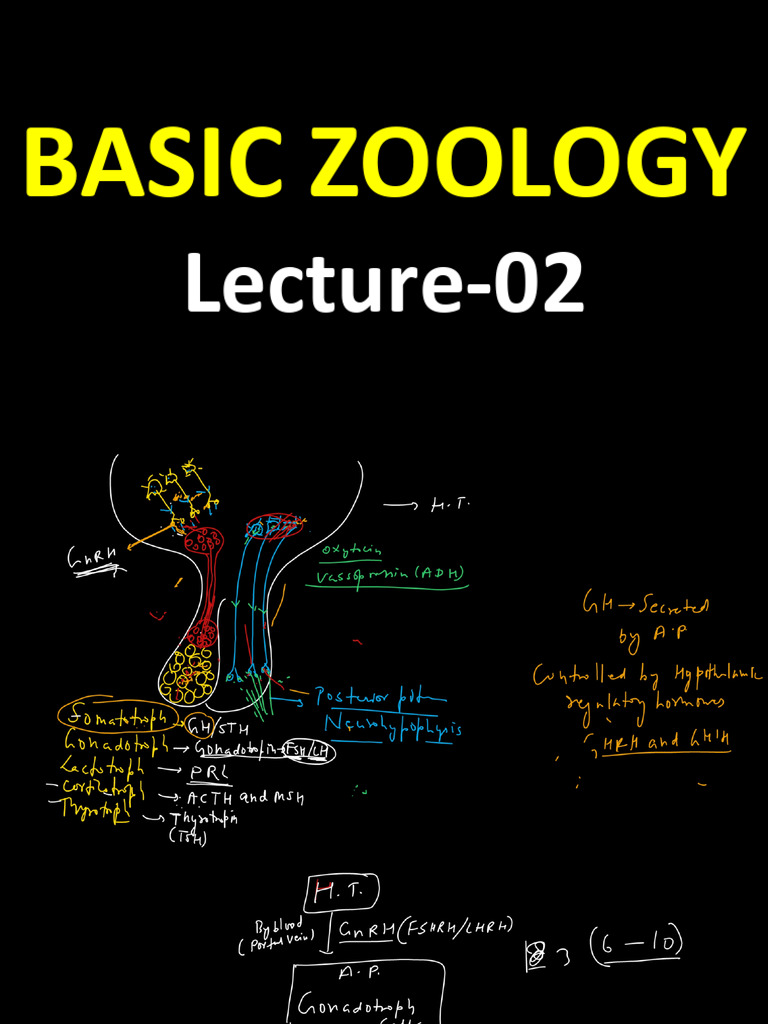 Basic Zoology - Lec-02 | PDF