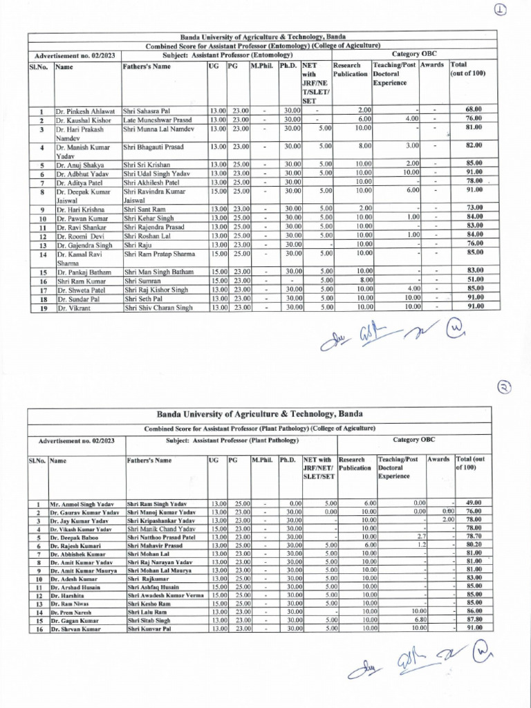 Advtertisement No. 02 2023 API Score Card | PDF