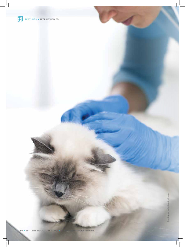 Dermatophytosis in Dogs and Cats | PDF | Real Time Polymerase Chain ...