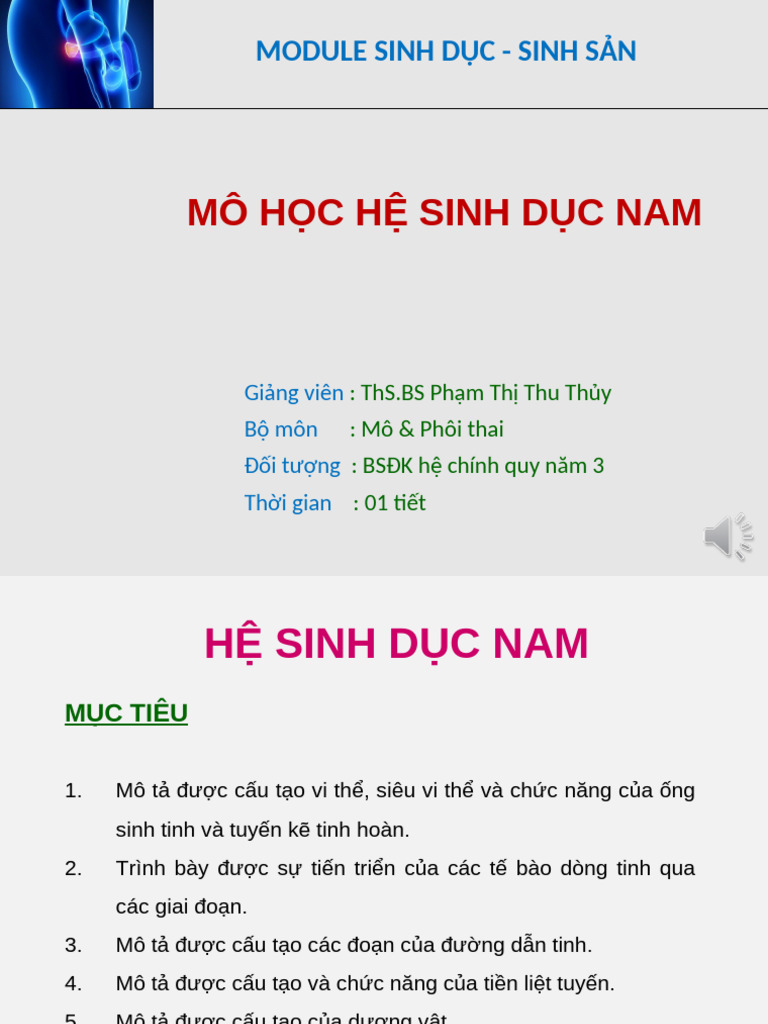 Ghi Am Bai Giang Mo Hoc He SD Nam | PDF