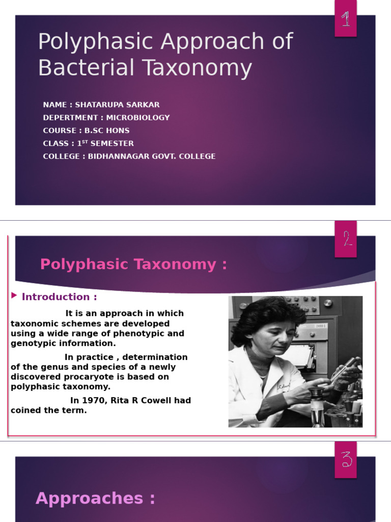 Polyphasic Approach of Bacterial Taxonomy | PDF | Species | Bacteria