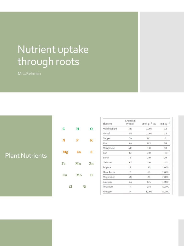 Essential Nutrient Uptake in Plants | PDF | Soil | Plant Nutrition