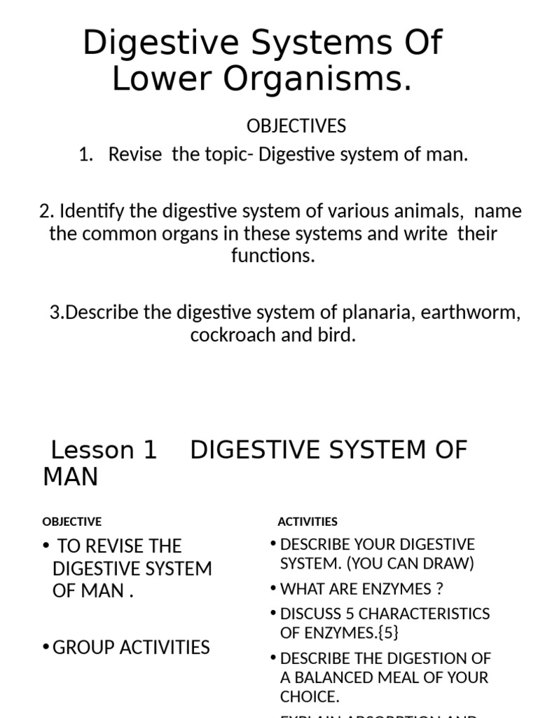Digestive Systems of Lower Animals | PDF | Digestion | Gastrointestinal ...