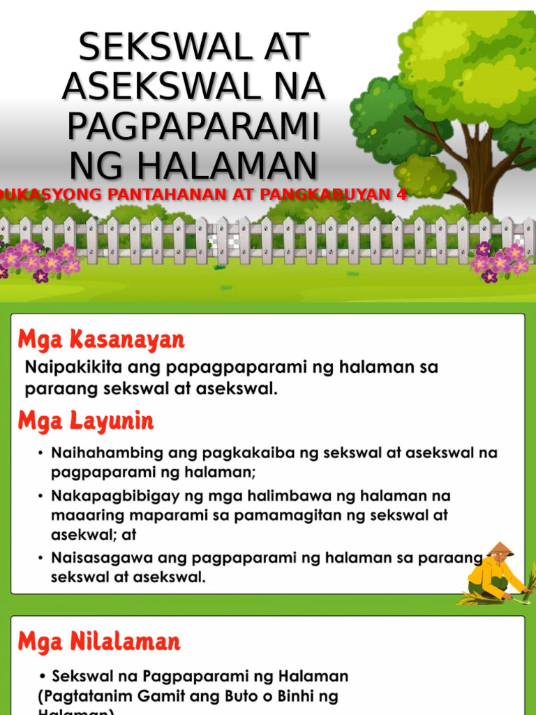 Sekswal at Asekswal Na Pagpaparami NG Halaman | PDF